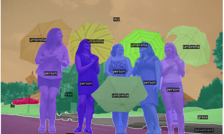 Differences between Instance and Panoptic segmentation - Coral Mountain Data